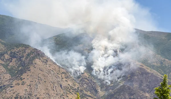 Paisaje natural con bocanadas de humo blanco saliendo del fuego del ...