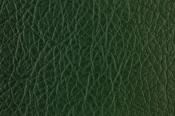 Green leather texture Stock Photos, Royalty Free Green leather texture ...