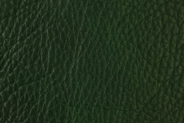 Green leather book Stock Photos, Royalty Free Green leather book Images ...