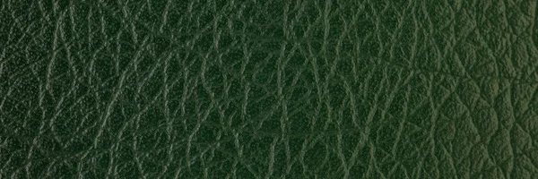 Green leather book Stock Photos, Royalty Free Green leather book Images ...