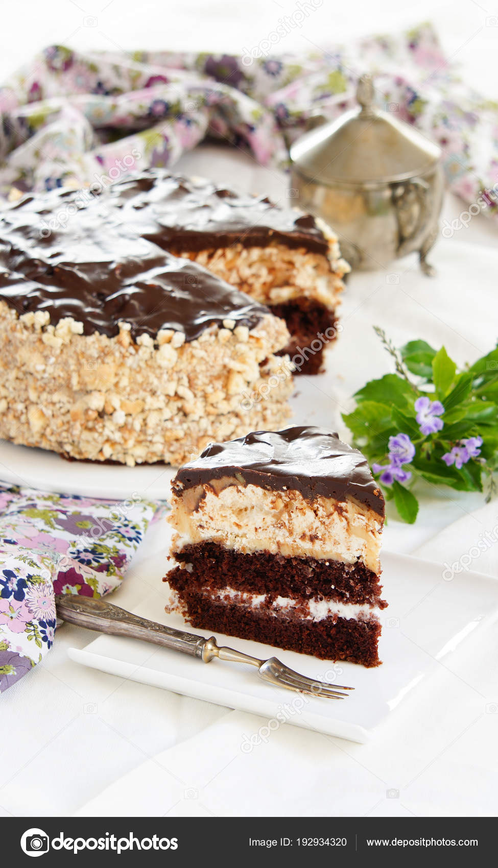 Chocolate Cake Dacquoise Layer Stock Photo by ©BelarusianArt 192934320