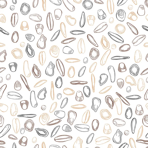Vector Background Hand Drawn Nuts Sketch Illustration Stock Vector Image by ©rraya #375442704