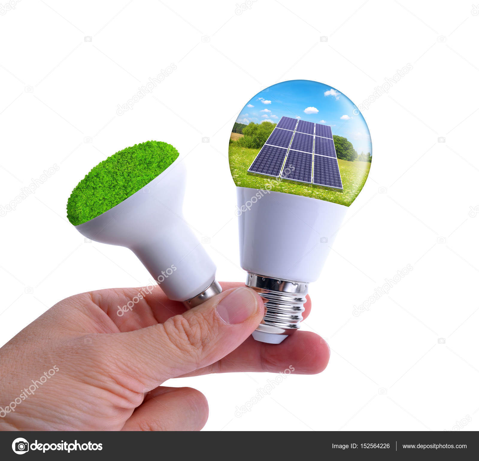 Hand holding eco LED bulbs isolated on a white background. Stock Photo ...