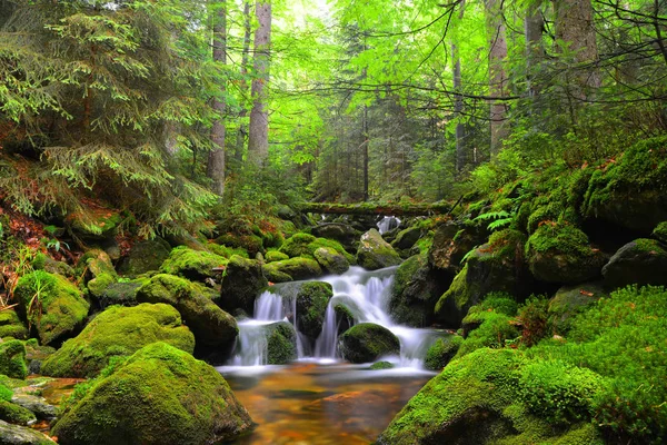 Šumava stock fotografie, royalty free Šumava obrázky | Depositphotos