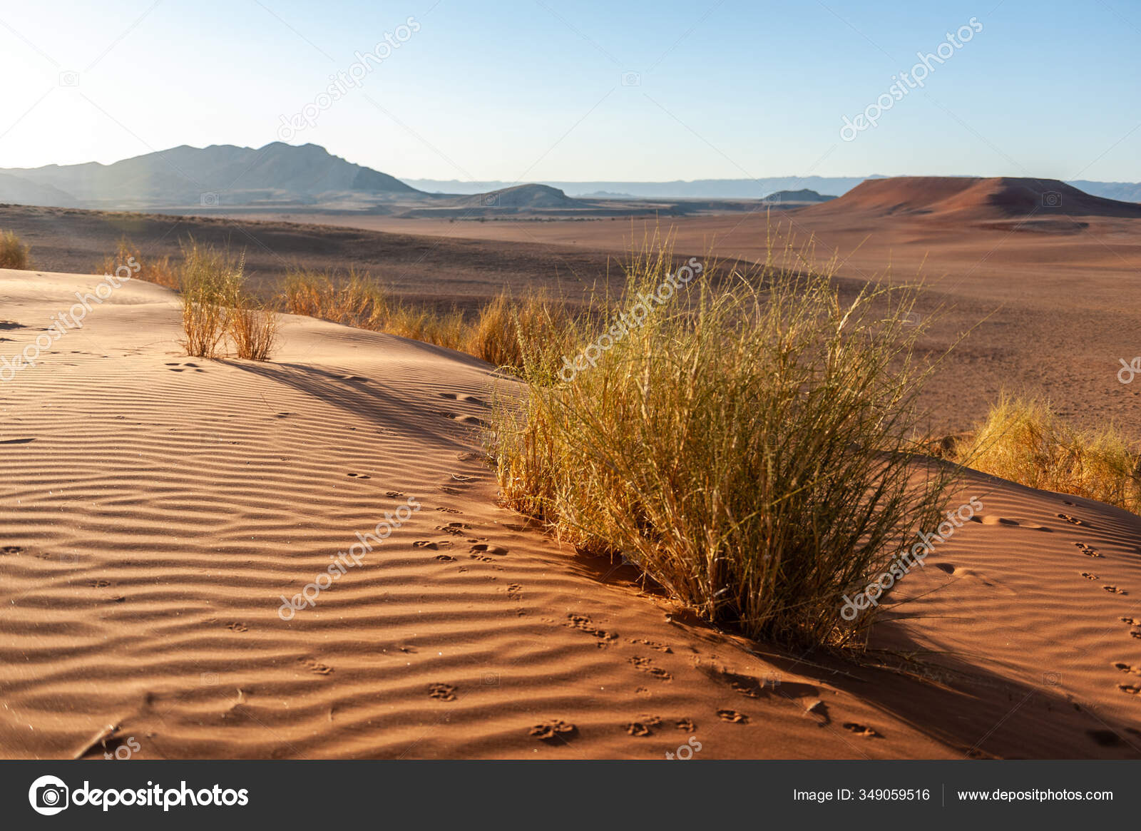Sunrise over the Desert Stock Photo by ©durktalsma 349059516