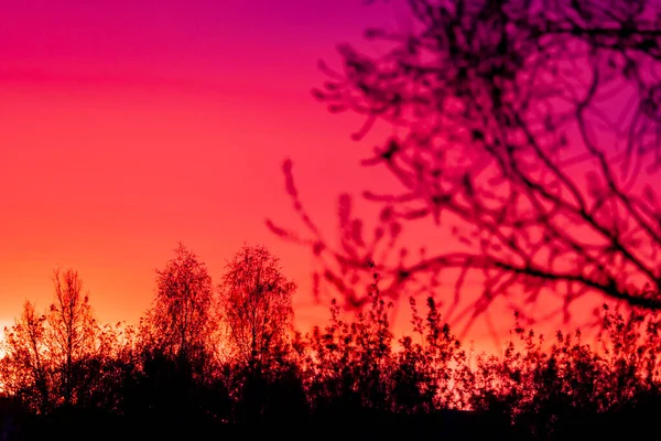Pink sunset landscape Stock Photos, Royalty Free Pink sunset landscape ...