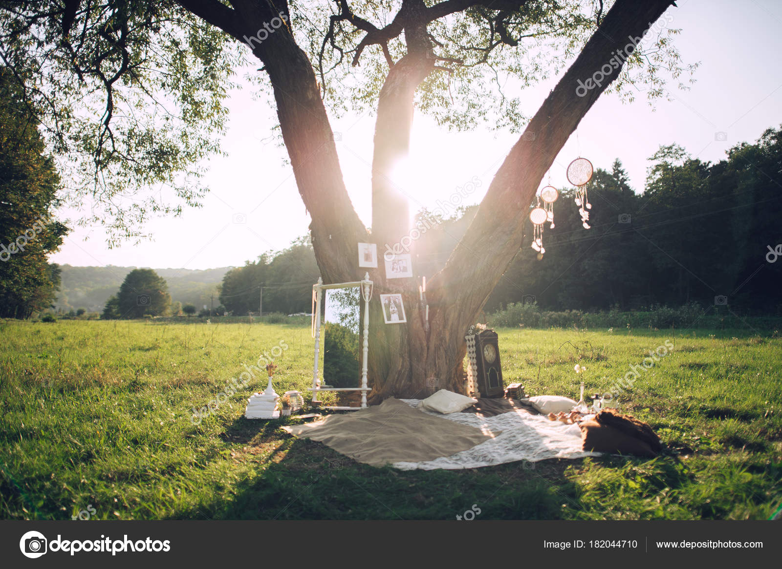 Scenic View Picnic Tree Park — Stock Photo © LadanivskyyO #182044710