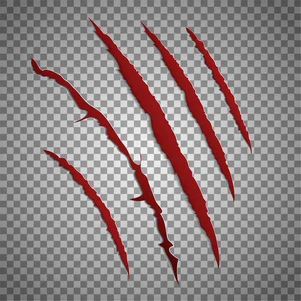 92 Bear claw marks Vectors, Royalty-free Vector Bear claw marks Images ...