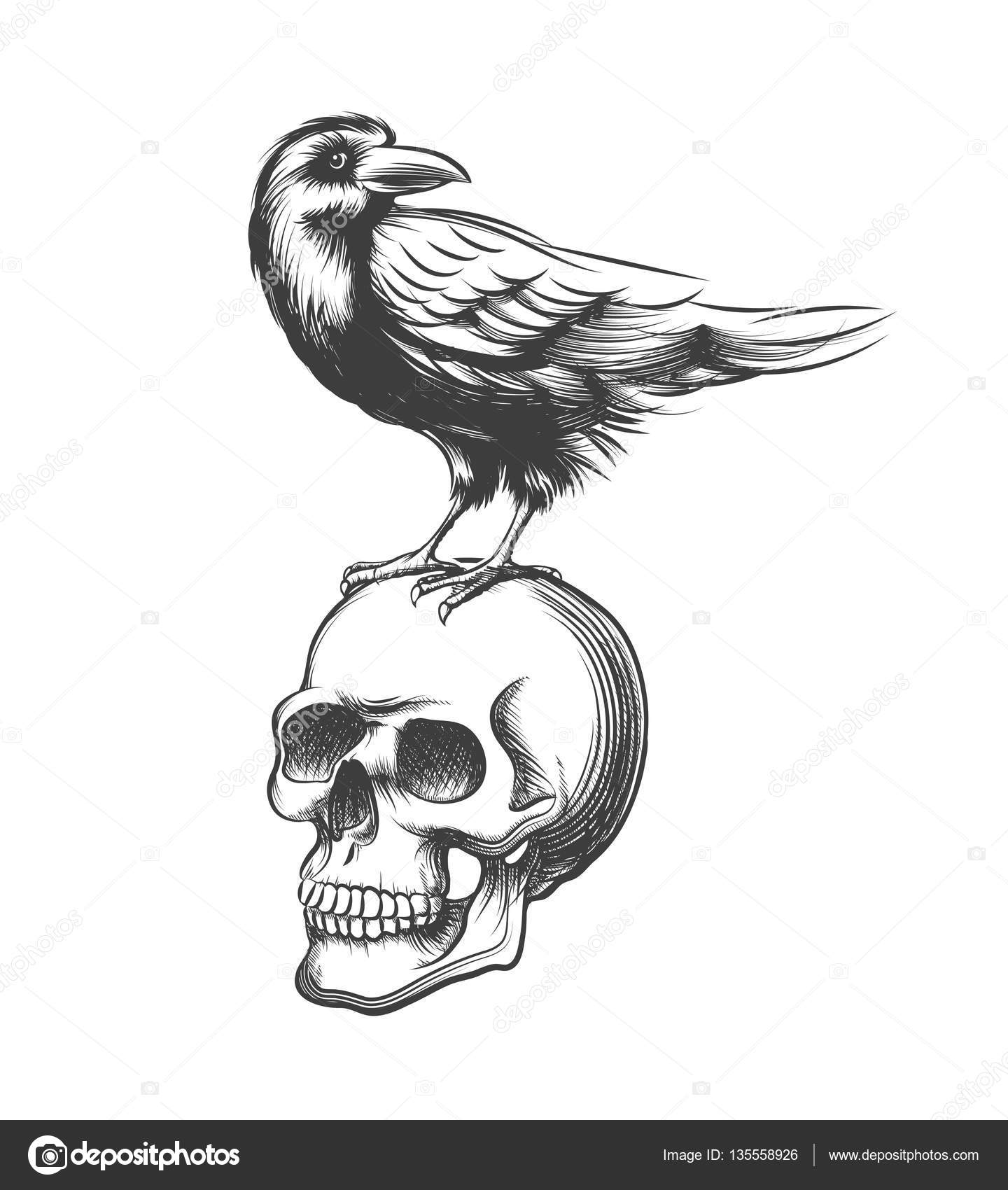 Evil crow tattoo | Evil crow hand drawn vector illustration. Black ...