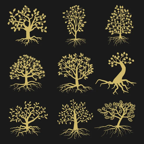 Roots underground Vector Art Stock Images | Depositphotos