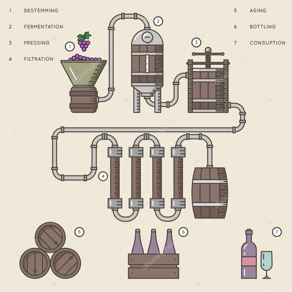 Proceso de elaboración del vino o ilustración vectorial infográfica ...