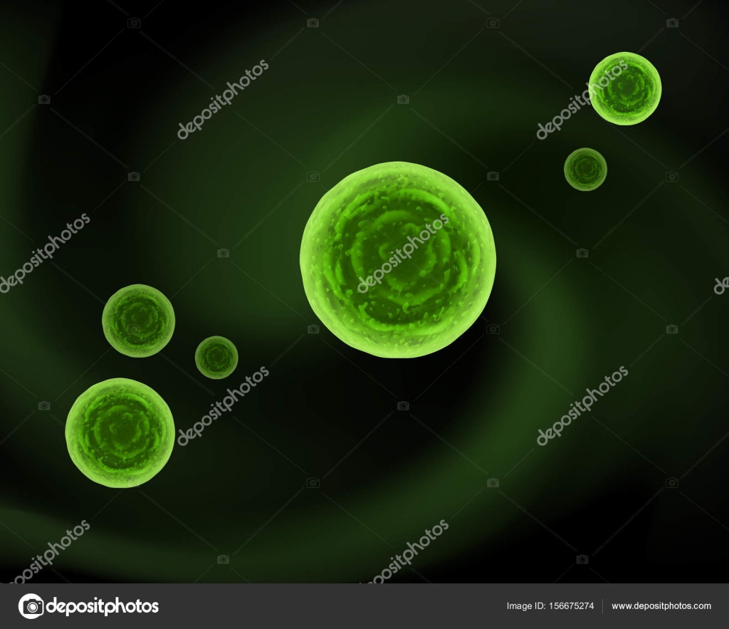 Sphere bacteria cells Stock Vector Image by ©K3star #156675274