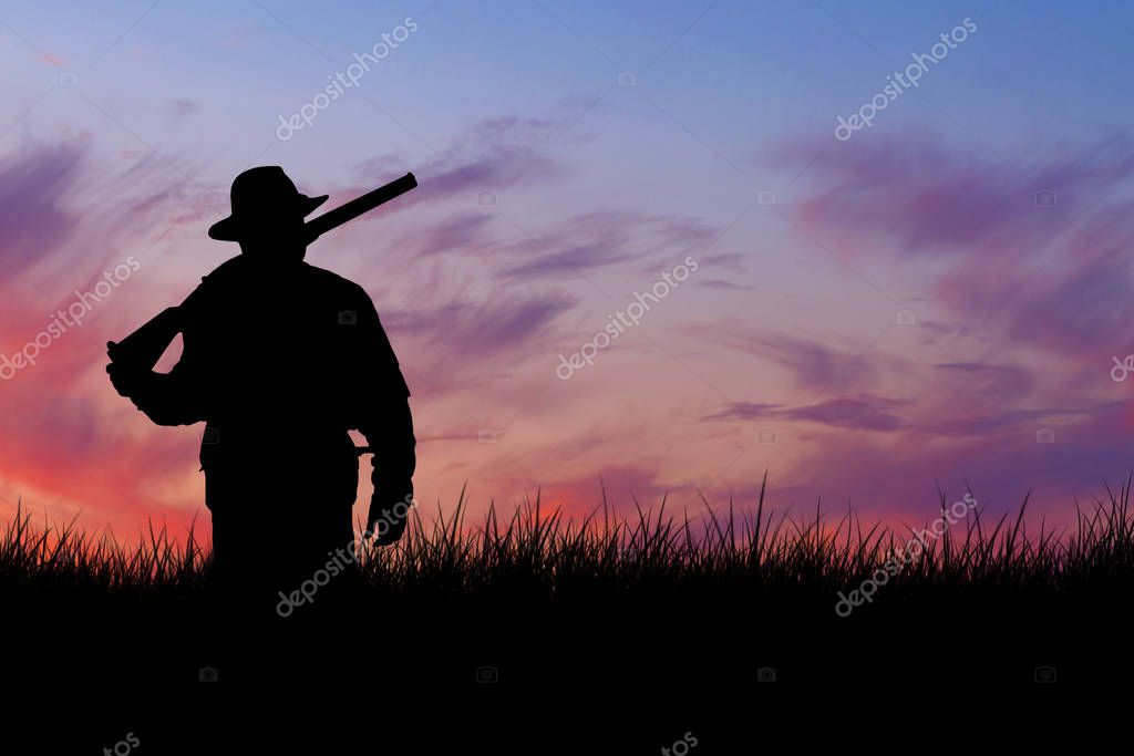 La silueta de un cazador con un arma en las cañas contra el sol, una emboscada para patos con ...
