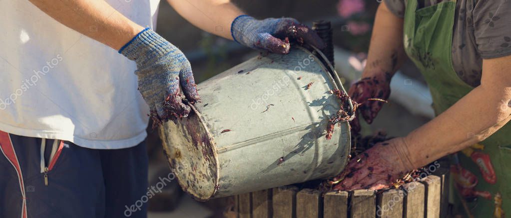 Prensa de vino con mosto rojo y tornillo helicoidal. Técnica ...