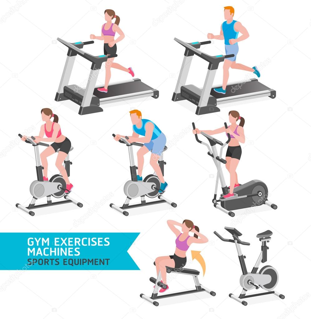 Gym exercises machines sports equipment. Vector Illustration. Stock ...
