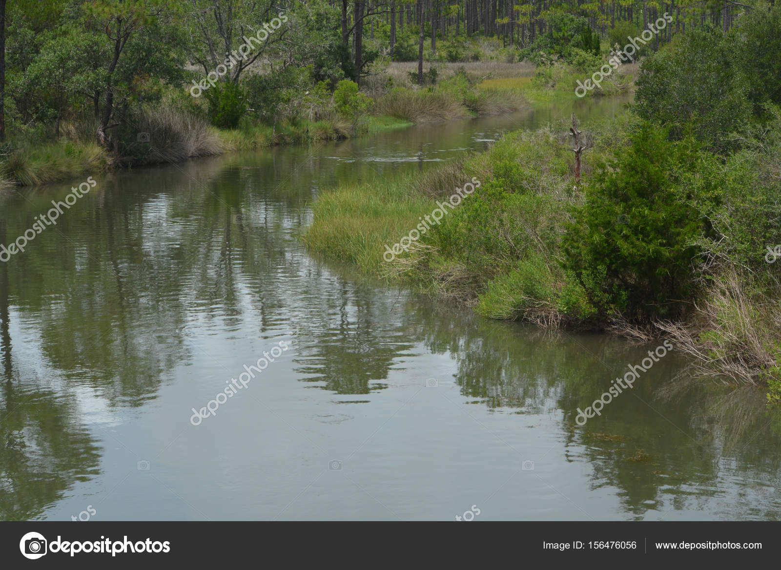 The stream flows through the meadow to the St. George Sound near ...