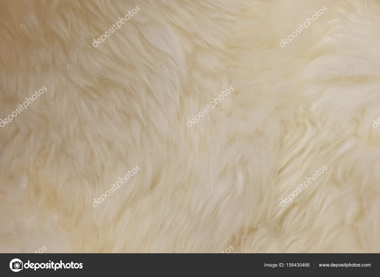Detail of White Fluffy Wool Texture Background Stock Photo by ...