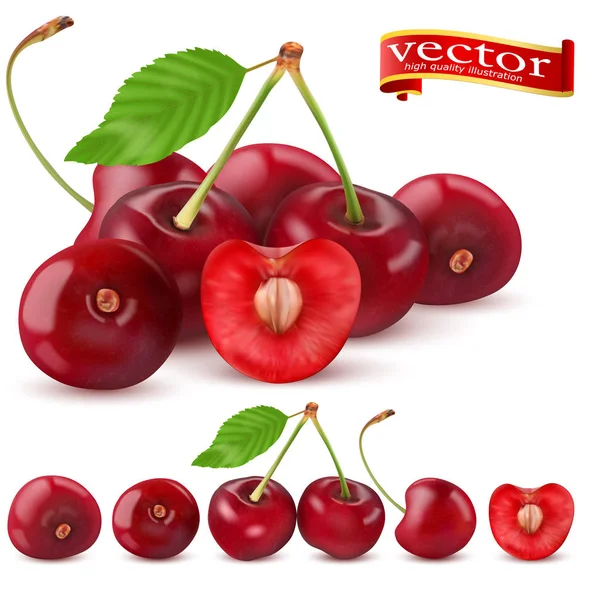 149,736 Sour cherry Vector Images | Depositphotos