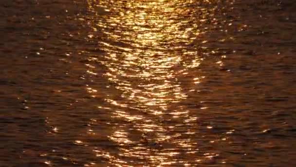 Golden Sun Reflection On Water