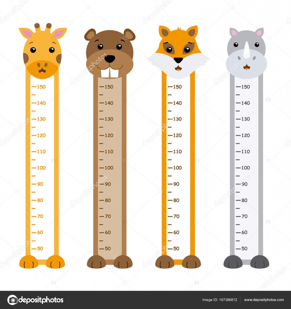 Children meter wall animals Stock Vector Image by ©sbego #167386812