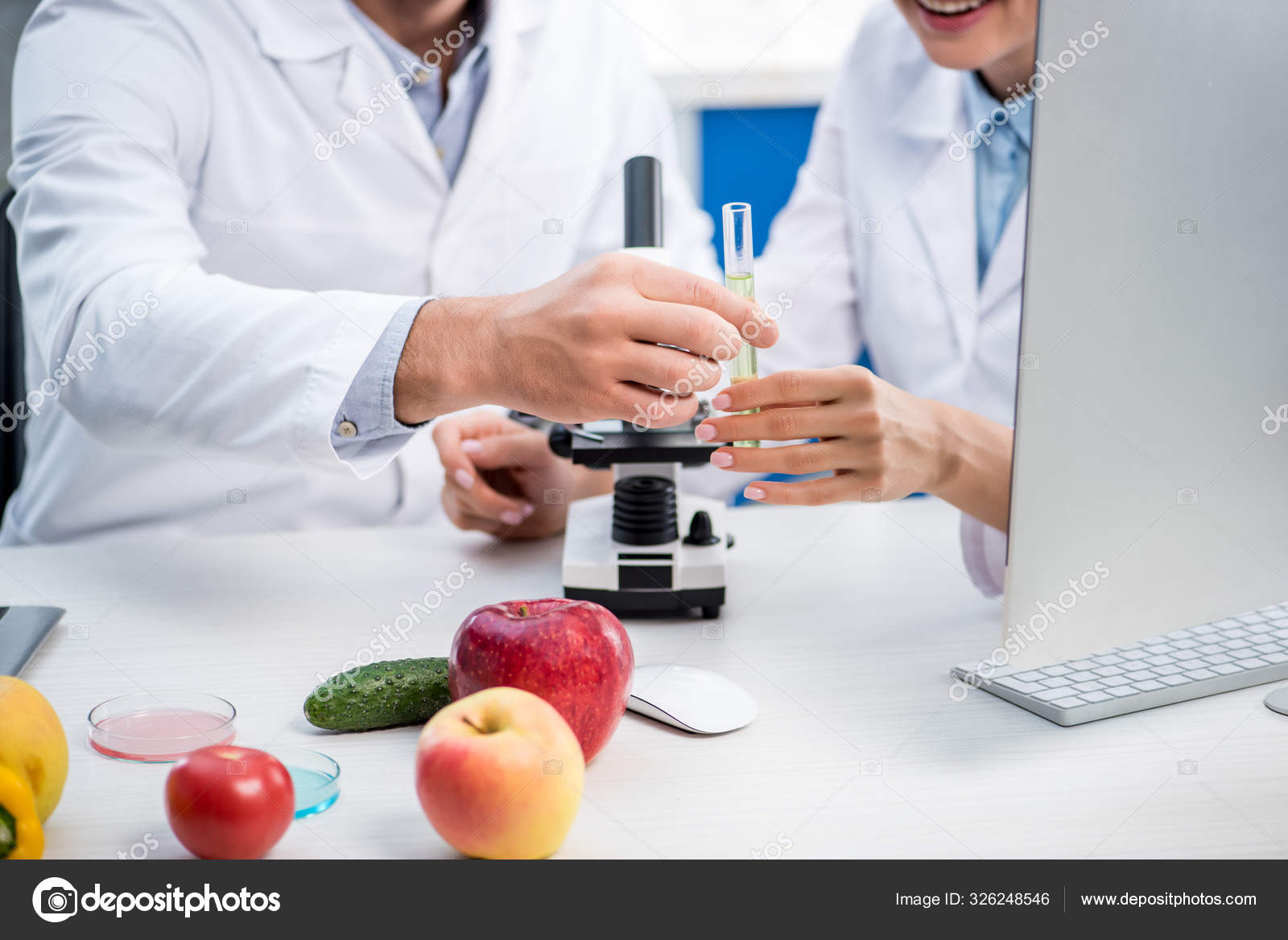 Cropped View Molecular Nutritionists Holding Test Tube Lab — Stock ...