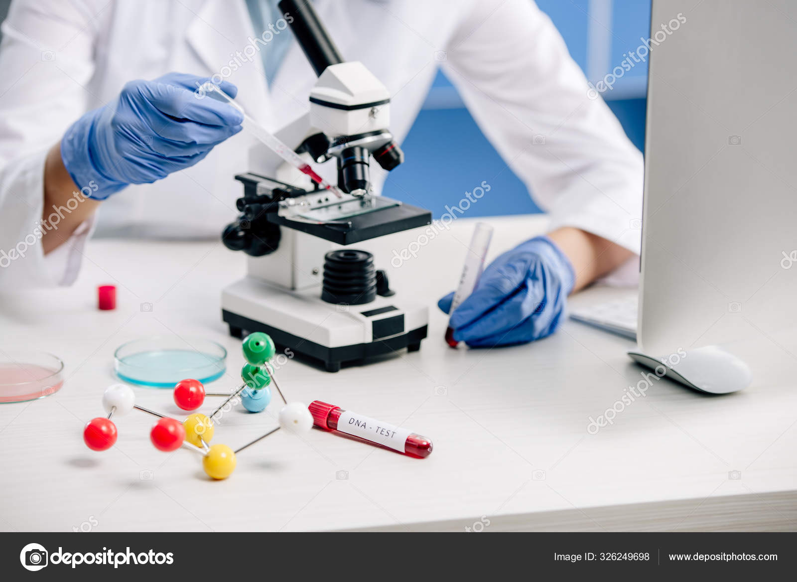 Cropped View Genetic Consultant Doing Dna Test Lab Stock Photo by ...