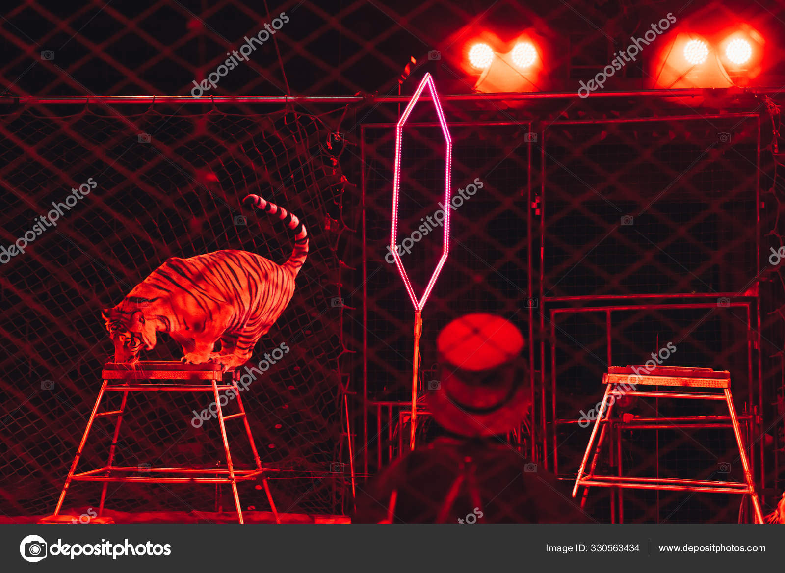 Kyiv Ukraine November 2019 Selective Focus Tiger Handler Grid Circus ...