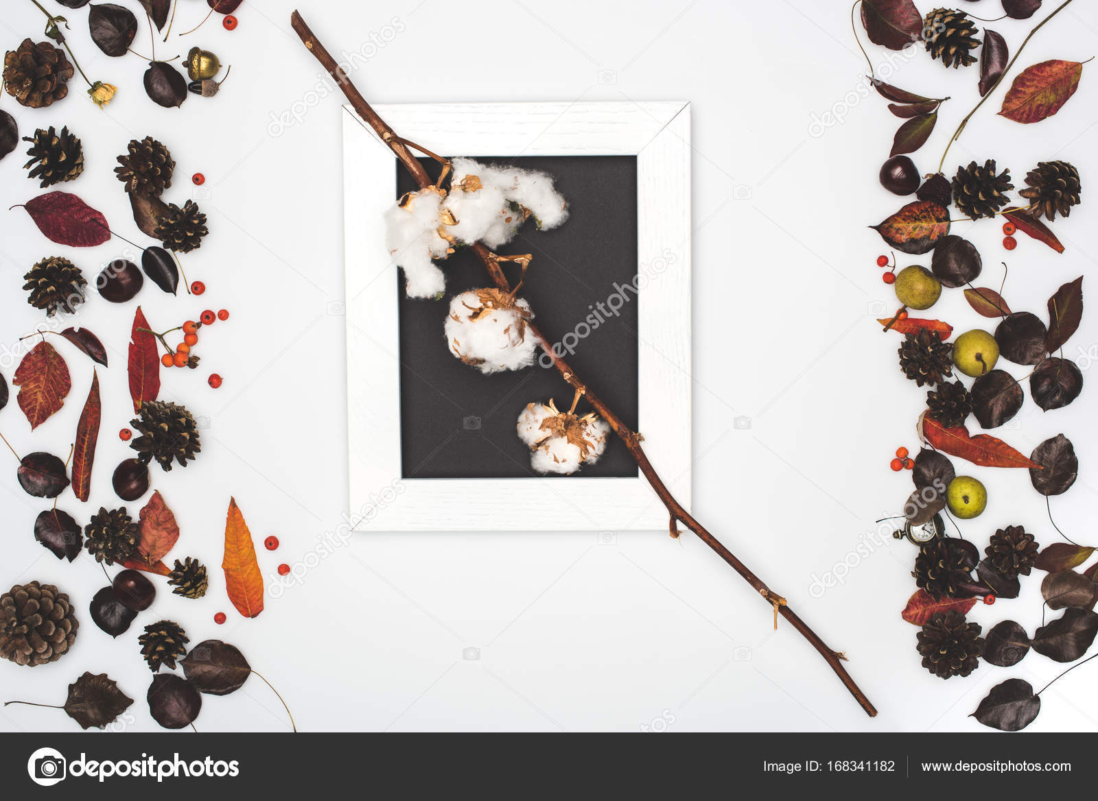 Cotton flowers in frame — Free Stock Photo © ViktoriaSapata #168341182