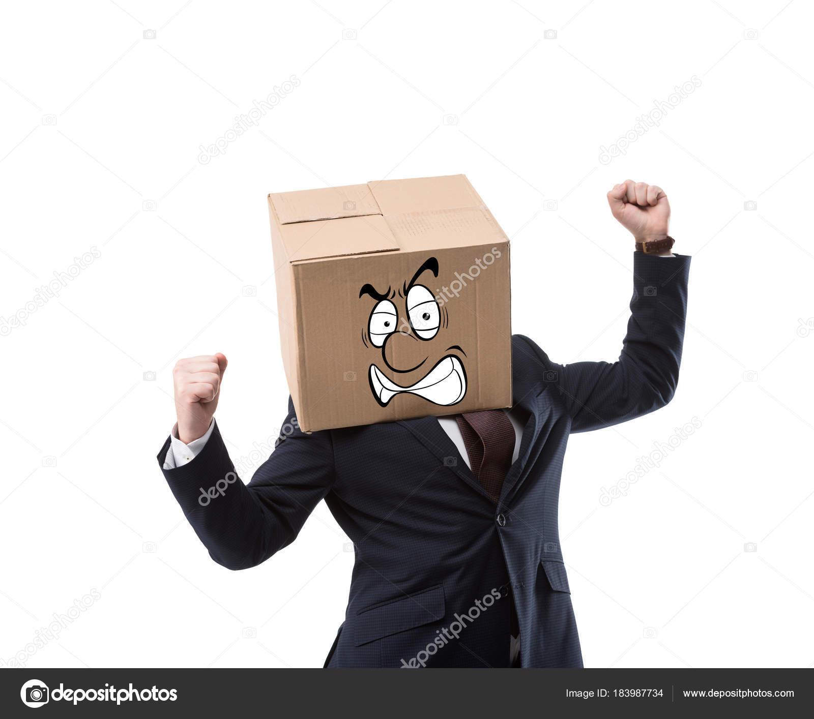 Angry Businessman Cardboard Box Head Gesturing Hands Isolated White ...