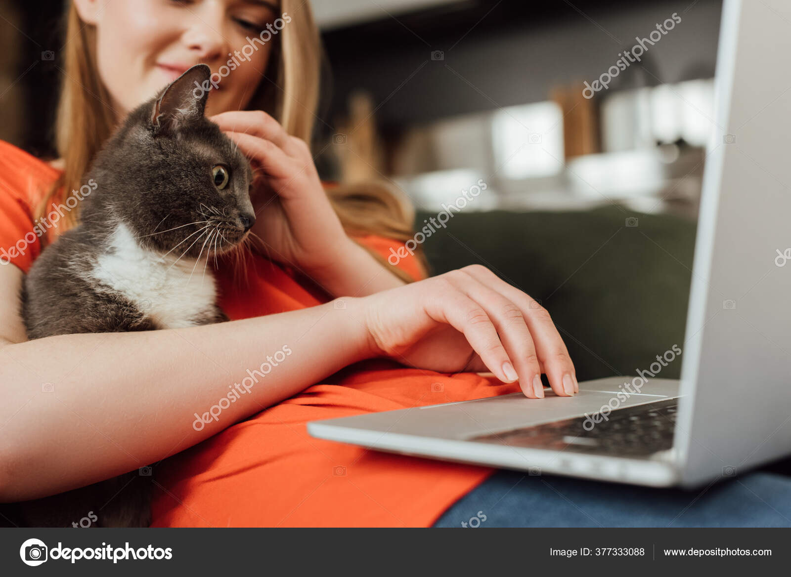Cropped View Smiling Freelancer Using Laptop Touching Cute Cat Living ...
