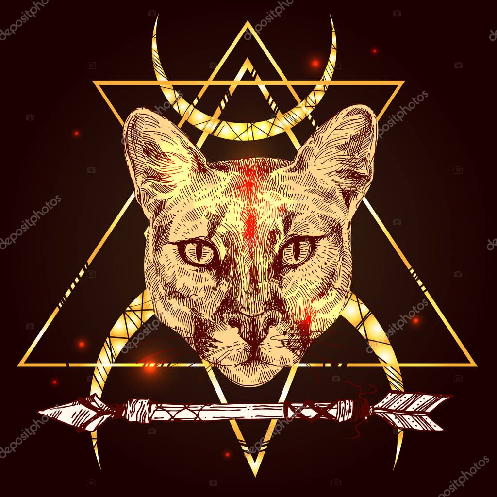 ilustraci n del boceto puma 2024