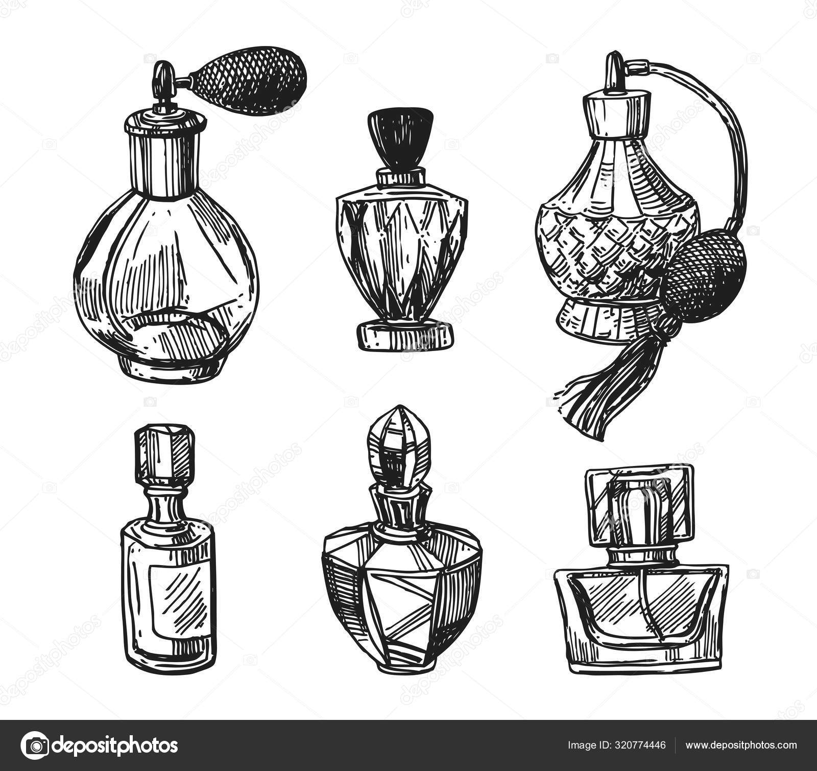 Fragrance bottles vector illustration. Hand drawn sketch style image Stock Vector Image by ...