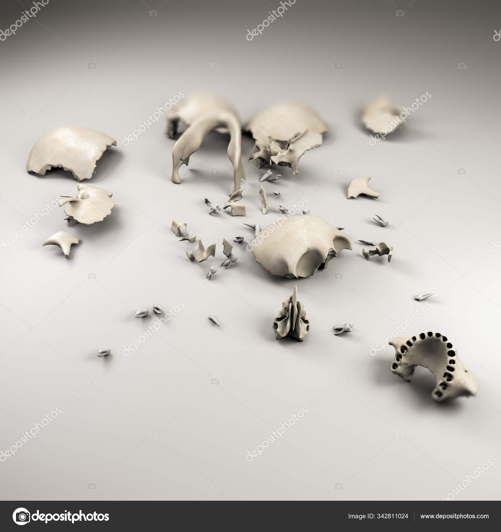 Broken human skull isolated on white Stock Photo by ©homeworks255 342811024