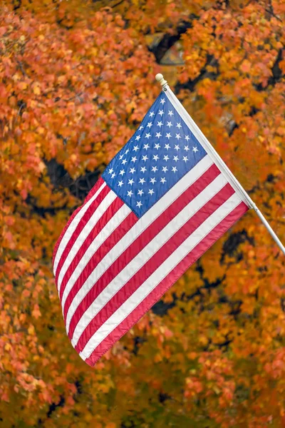 Old Glory and Glorious Autumn Color - Stock Image - Everypixel