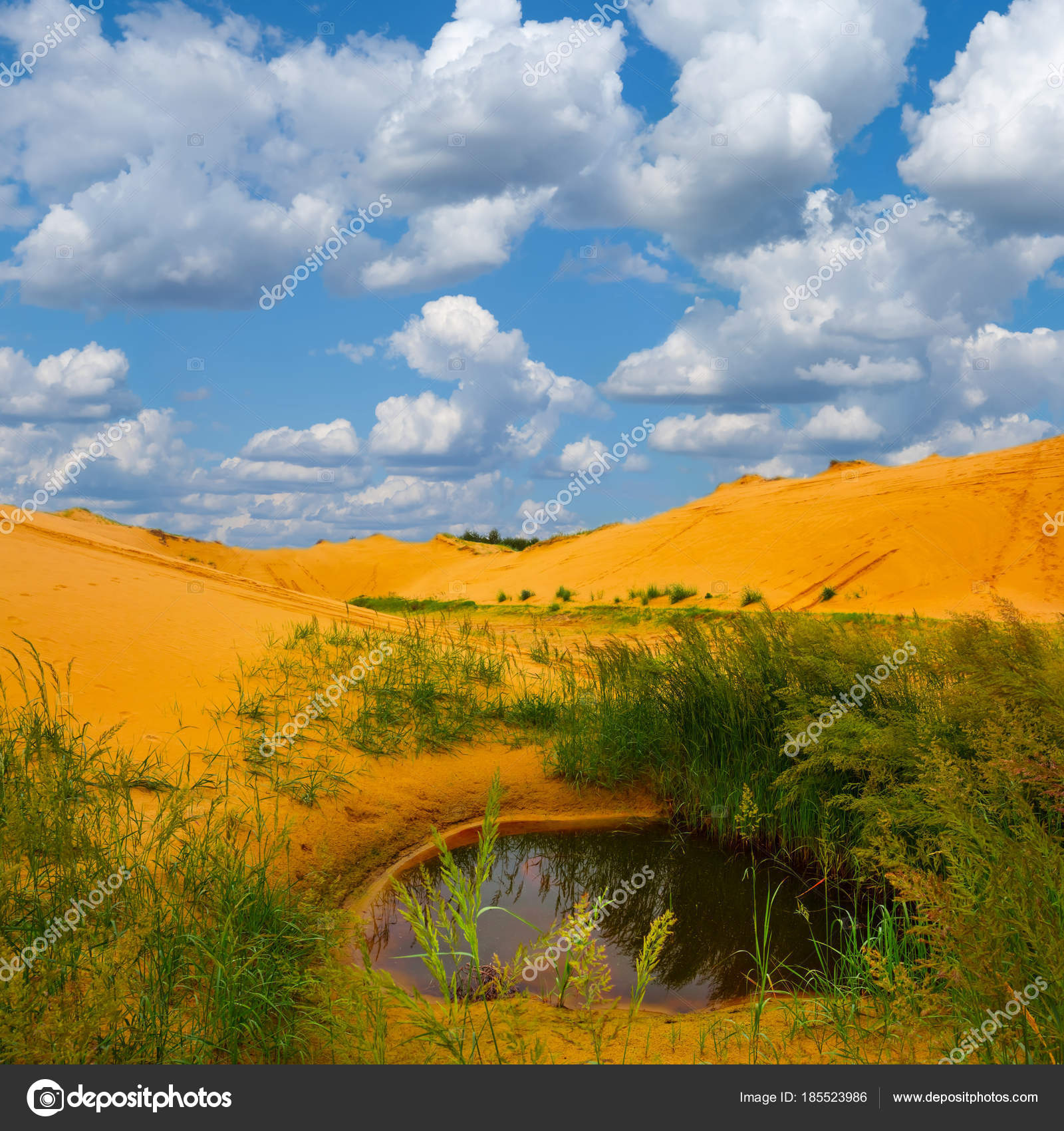 Small Water Puddle Sandy Desert Stock Photo by ©york_76 185523986