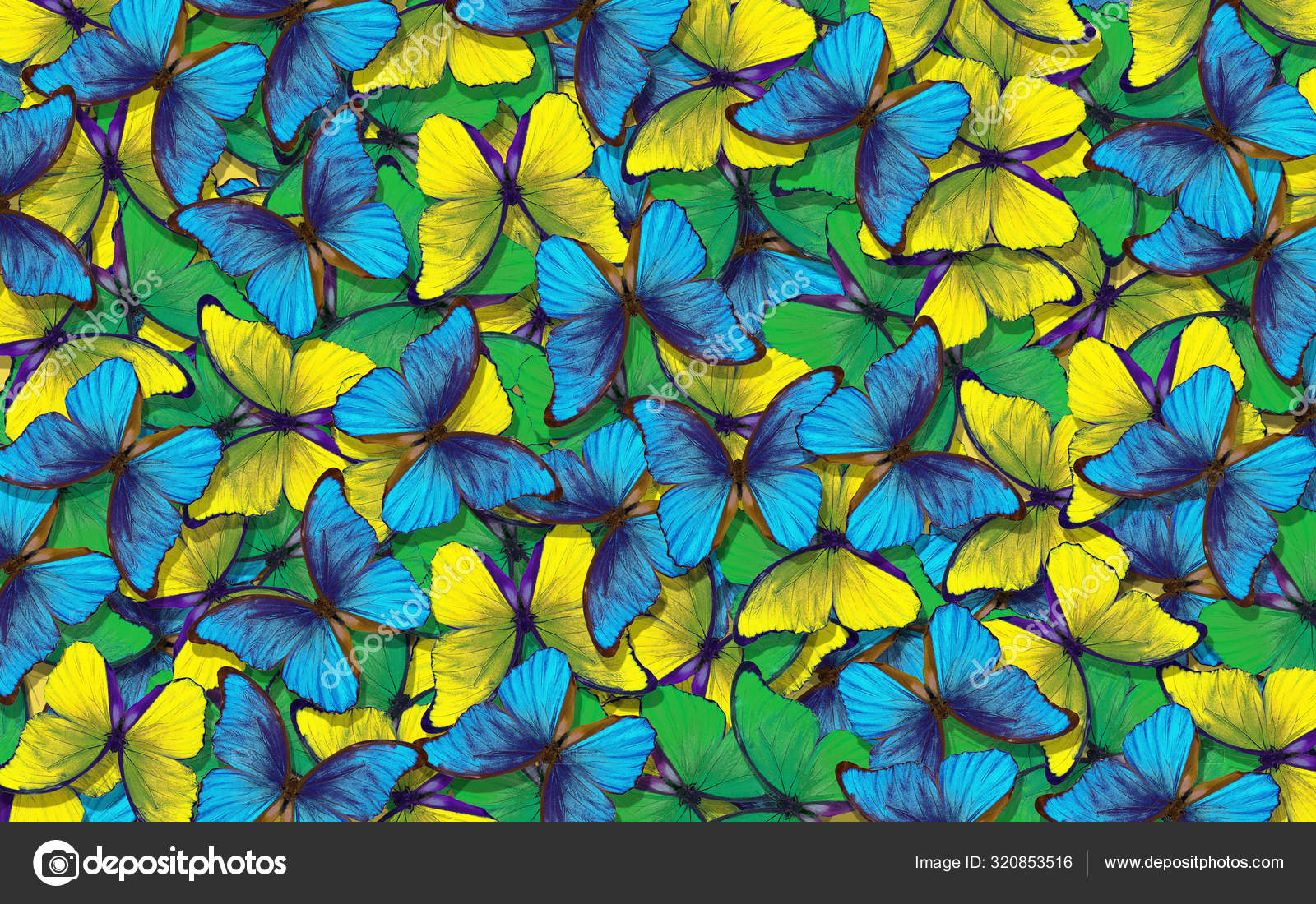 Butterfly Pattern Background