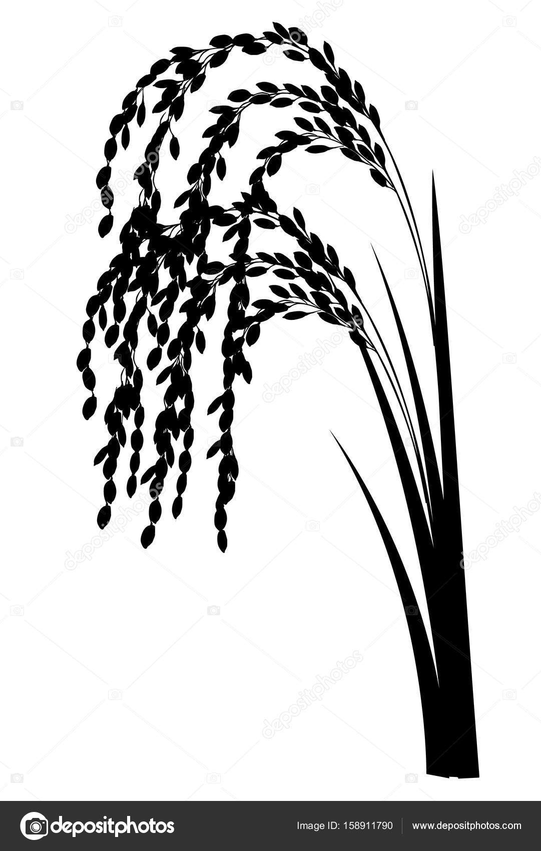 Rice Harvest Fall Icon Stock Vector by ©JBOY24 158911790