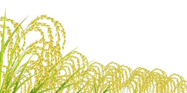 Rice Rice Autumn Background Stock Vector by ©JBOY24 286797868