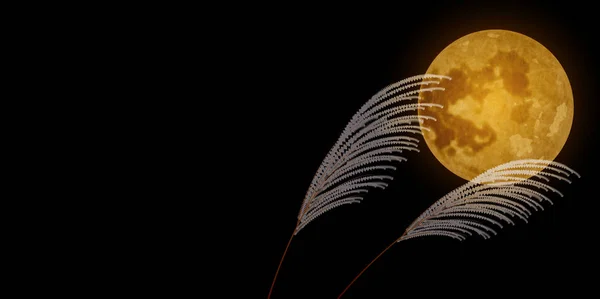 Late autumn landscape Vector Art Stock Images | Depositphotos