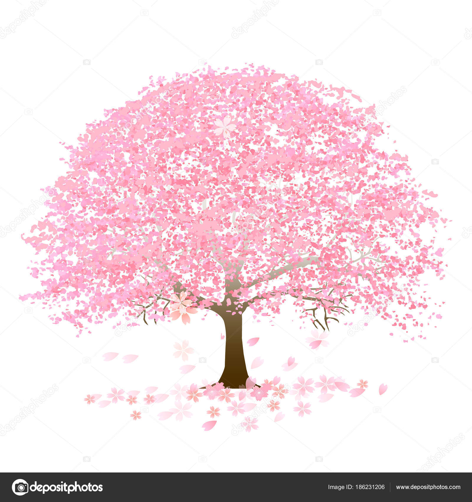 Cherry Blossom Tree Icon
