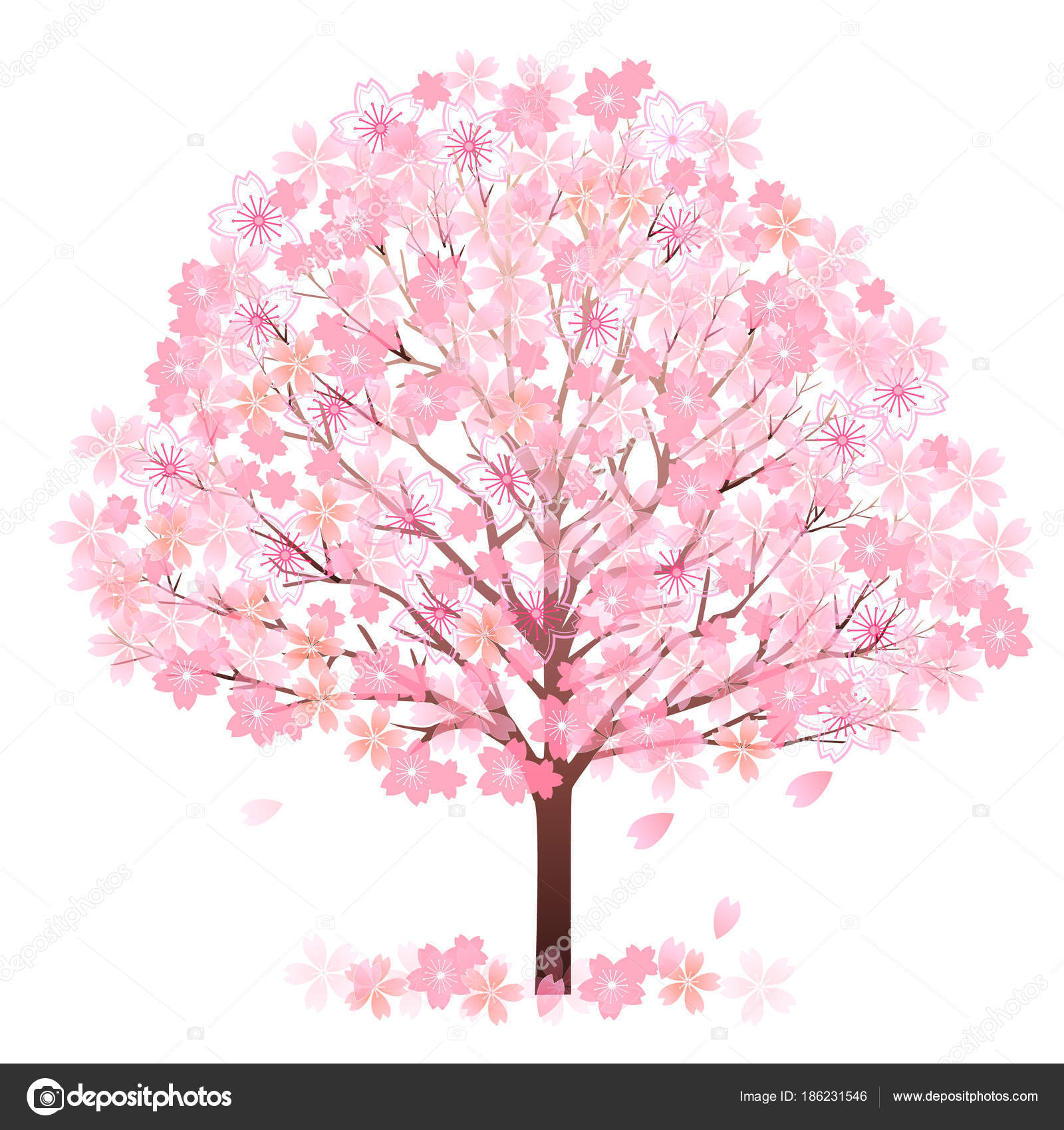 Cherry Blossom Tree Icon