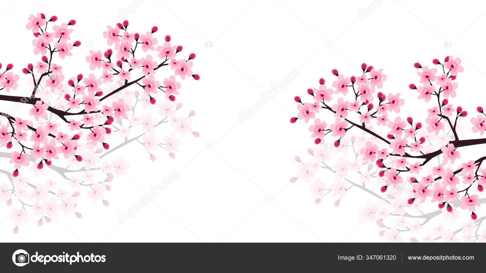 Cherry Blossom Spring Flowers Background Stock Vector Image by ©JBOY24 ...