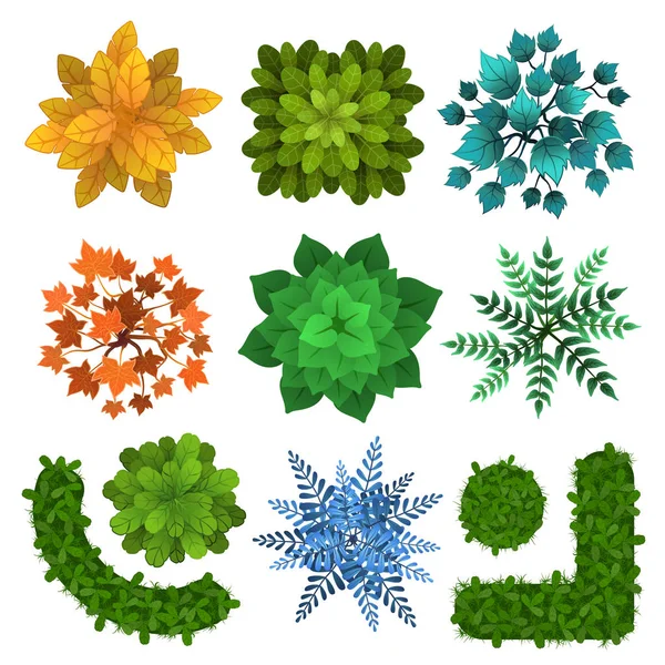 Set of different green trees, shrubs, hedges. Top view for landscape ...