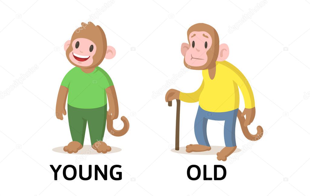 Palabras joven y viejo flashcard con personajes de dibujos animados de ...