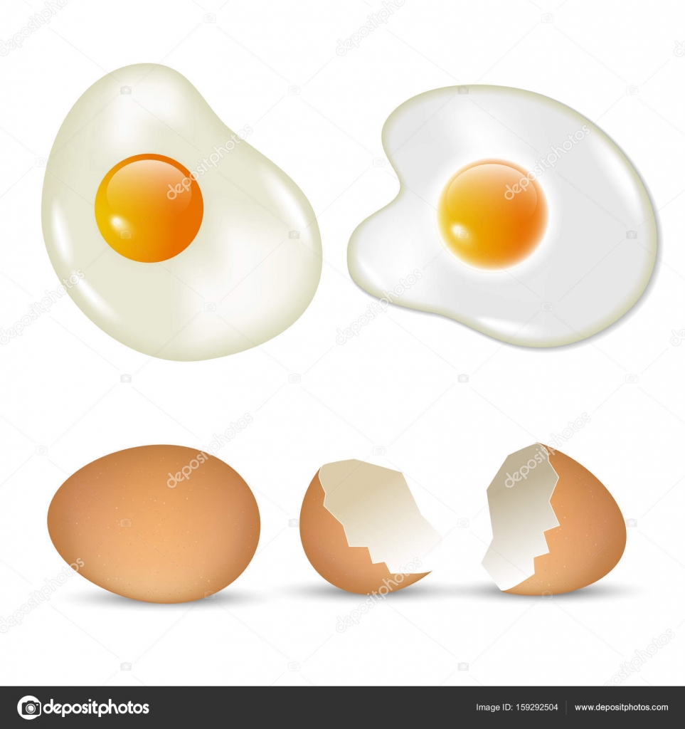 Raw and fried eggs set Stock Vector Image by ©Olga_Kononok #159292504