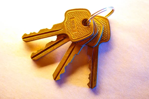 Metal keys Stock Photos, Royalty Free Metal keys Images | Depositphotos