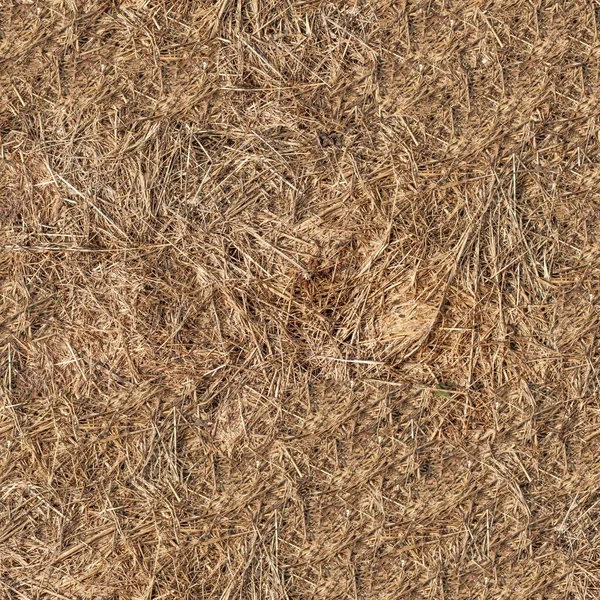 307 Hay texture seamless Stock Photos, Hay texture seamless Images ...