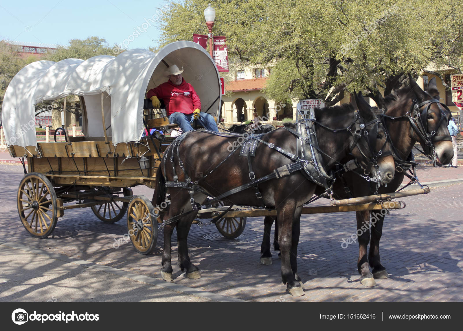 Team Mule Ride And Drive