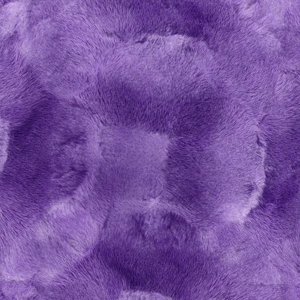 Violet fur coat Stock Photos, Royalty Free Violet fur coat Images ...