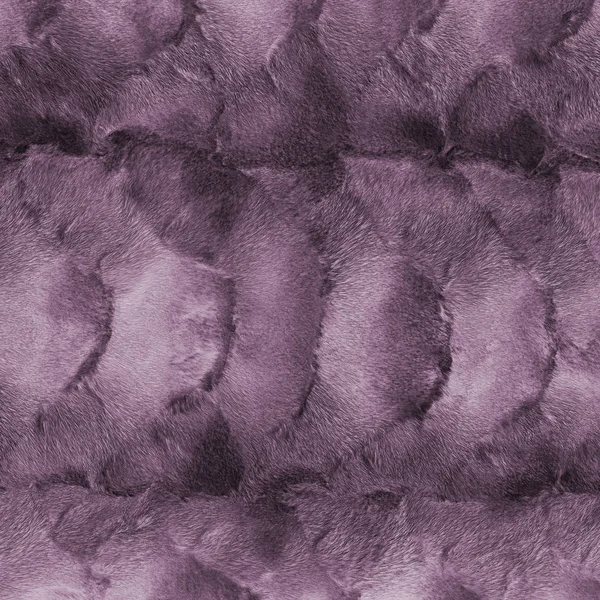 Mink fur texture Stock Photos, Royalty Free Mink fur texture Images ...